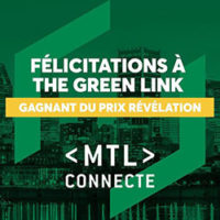 AI powered Climate & ESG Strategy | Home - The Green Link
